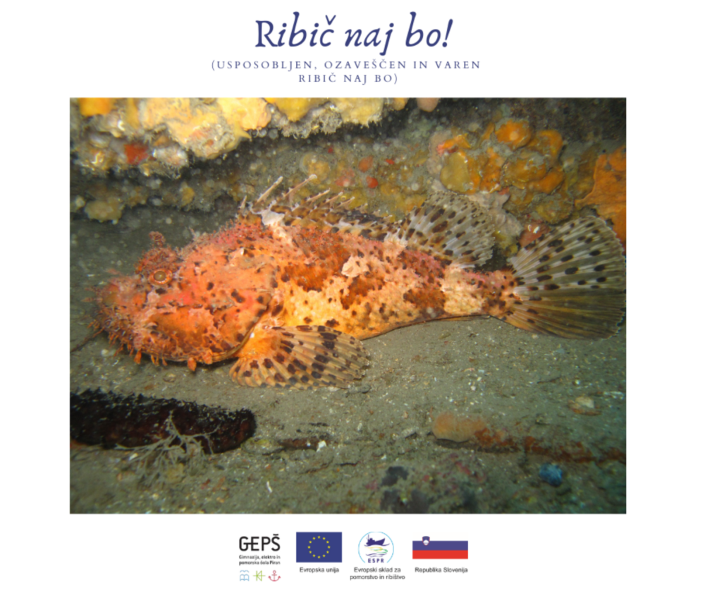 ZANIMIVOSTI O RIBAH, KI JIH NISI VEDEL